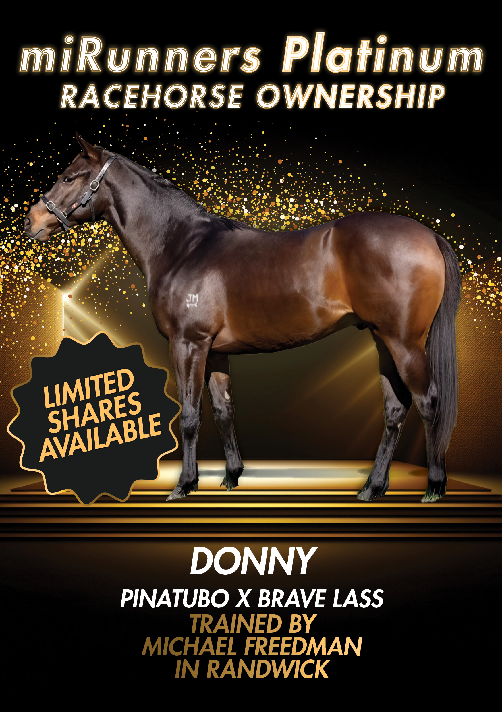 Platinum Package | miRunners